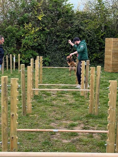 Parc d'activités extérieures pour chiens près de Coquelles (62231).